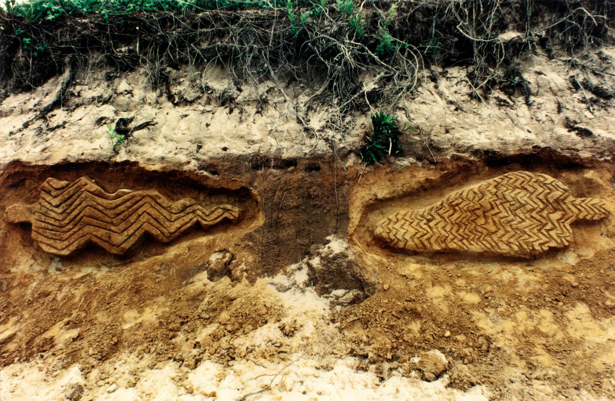 Ana Mendieta (1948–1985) - Art Miami Magazine - Art news