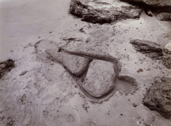 Ana Mendieta (1948–1985) - Art Miami Magazine - Art news