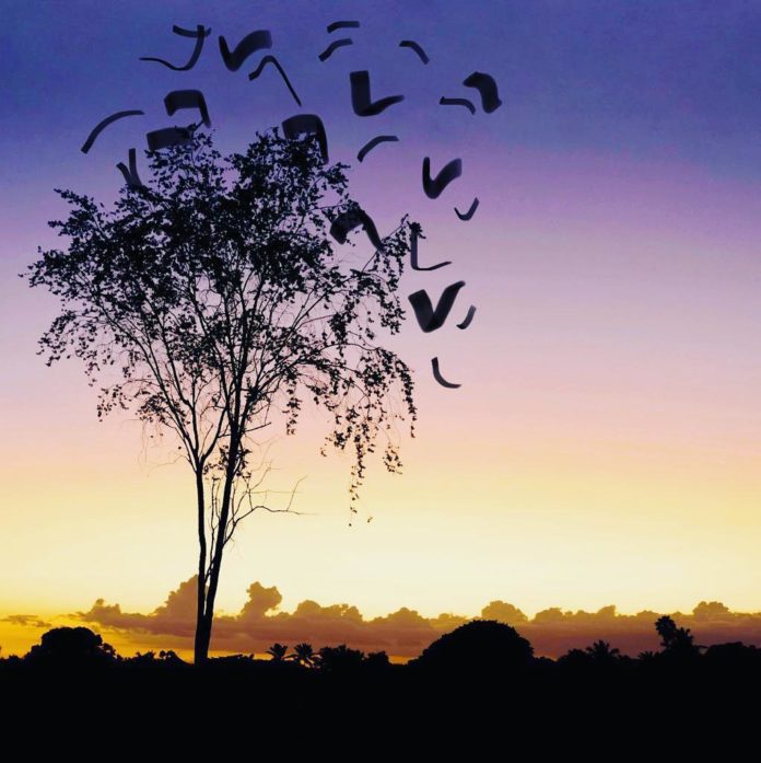 LA FOTOGRAFIA DE ADA RIVERA. - Art Miami Magazine