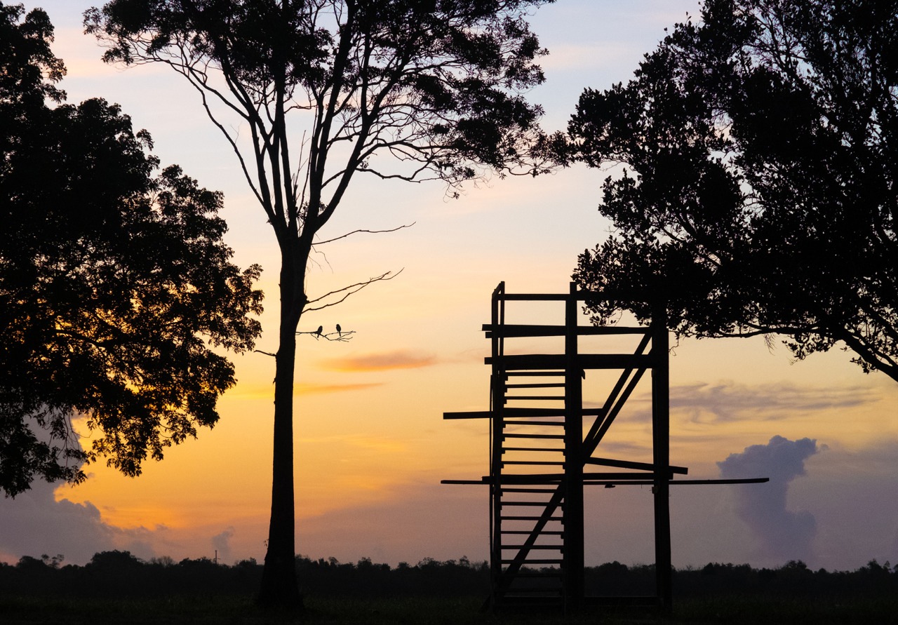 PHOTOGRAPHY BY ADA RIVERA. - Art Miami Magazine - Art news