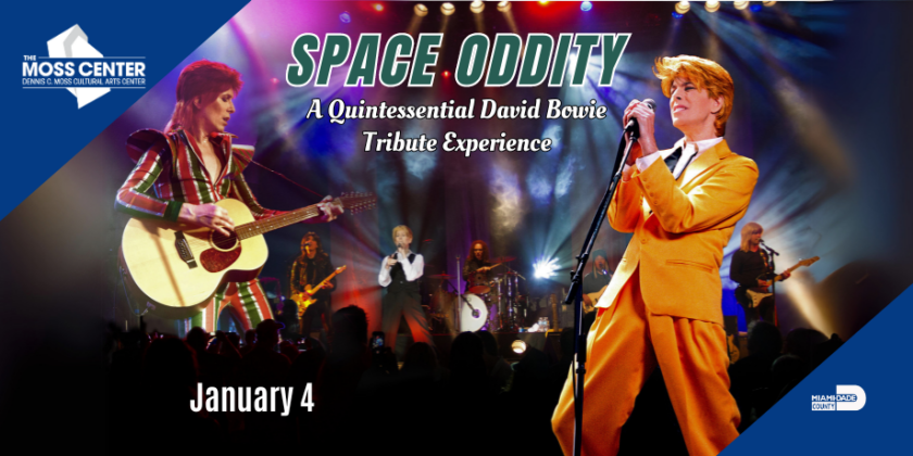 The Quintessential David Bowie Tribute Experience - Art Miami Magazine